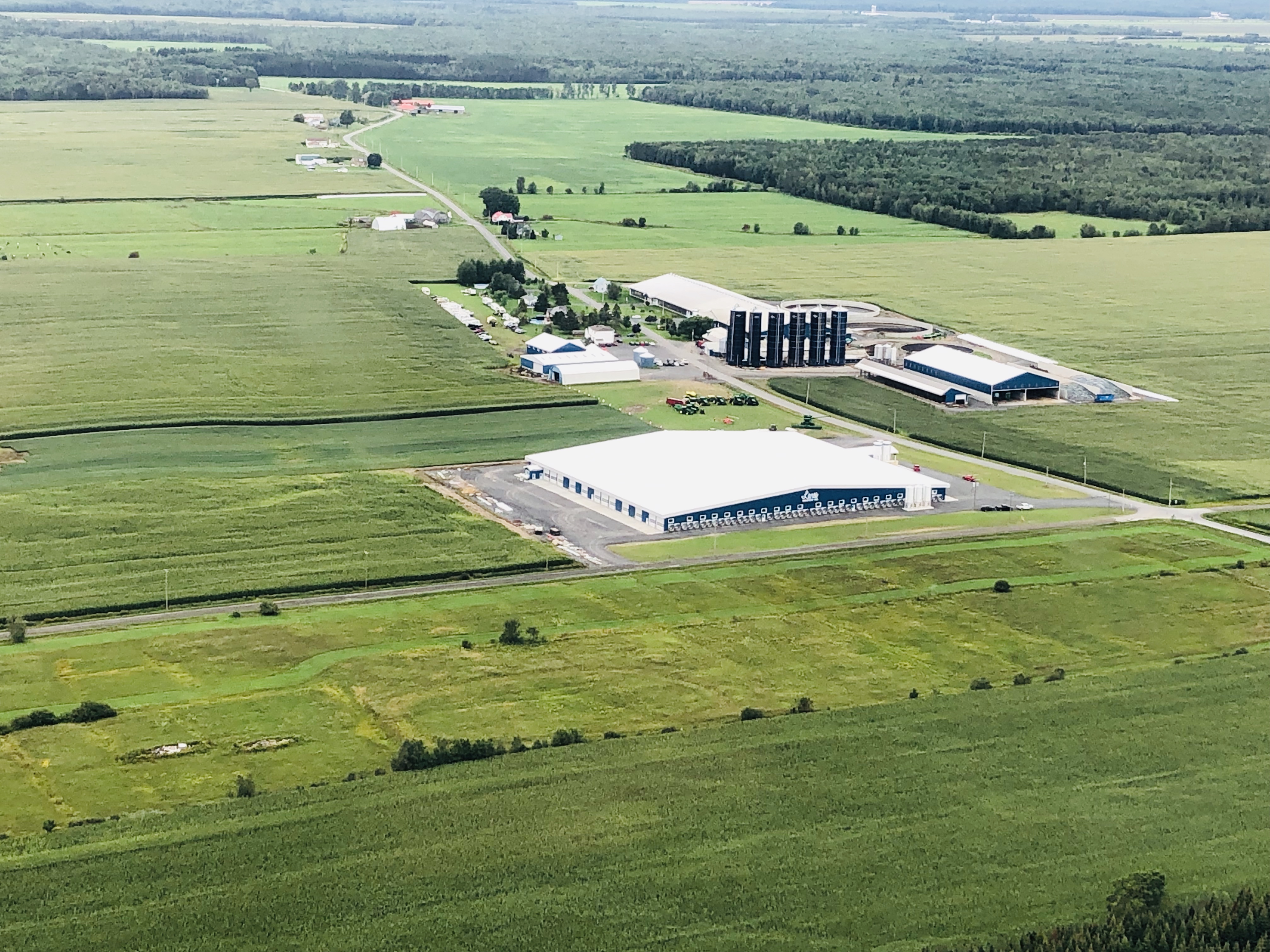 Projet d’augmentation du cheptel laitier de la Ferme Lansi à