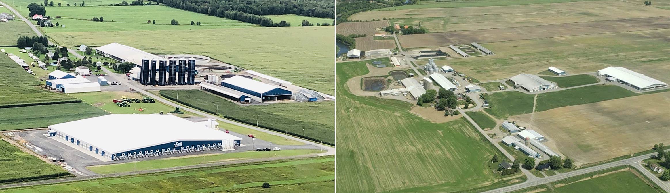 Projets d'augmentation des cheptels laitiers des fermes Lans
